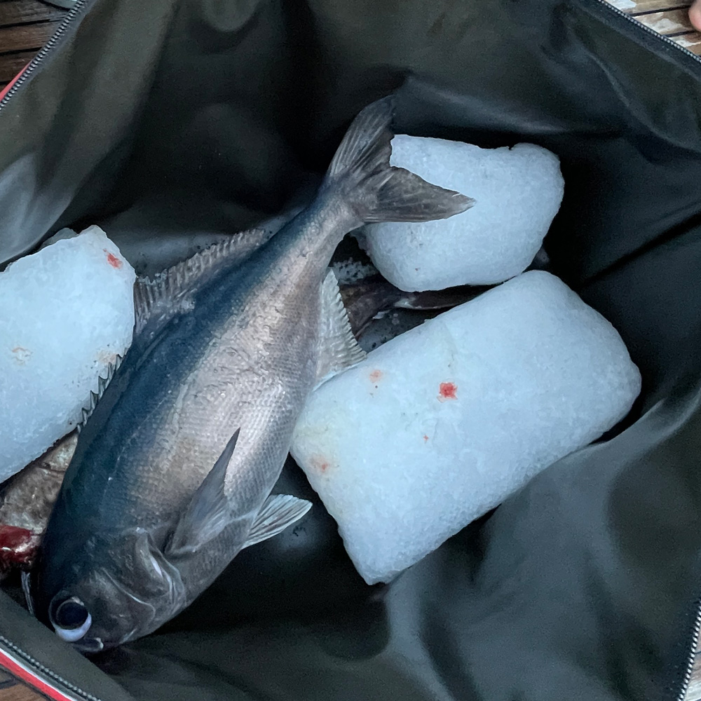 Small Provider Bags - Dark Shadow | Stoney Creek Sport Fishing